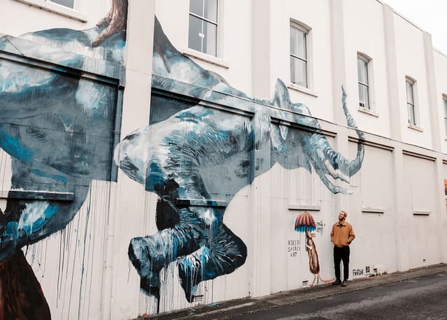 Toowoomba: Our full guide. - Into The Wild Escapes