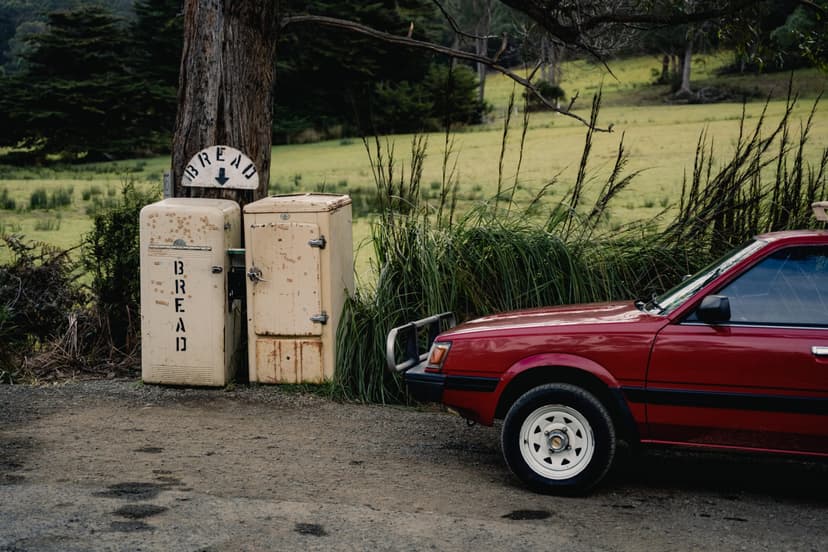 Your Bruny Island itinerary. - Into The Wild Escapes