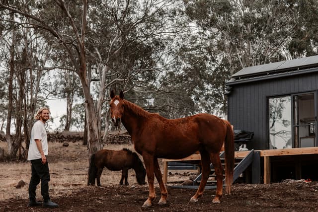 Toowoomba: Our full guide. - Into The Wild Escapes