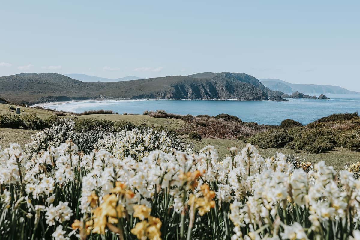 Your Bruny Island itinerary. - Into The Wild Escapes